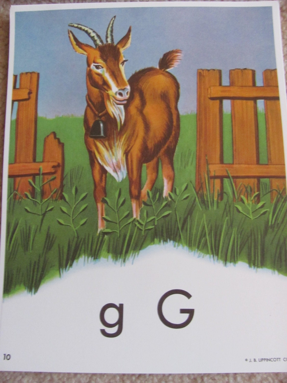 Large Alphabet Phonics School Flash Card Poster Reproduction Print ...