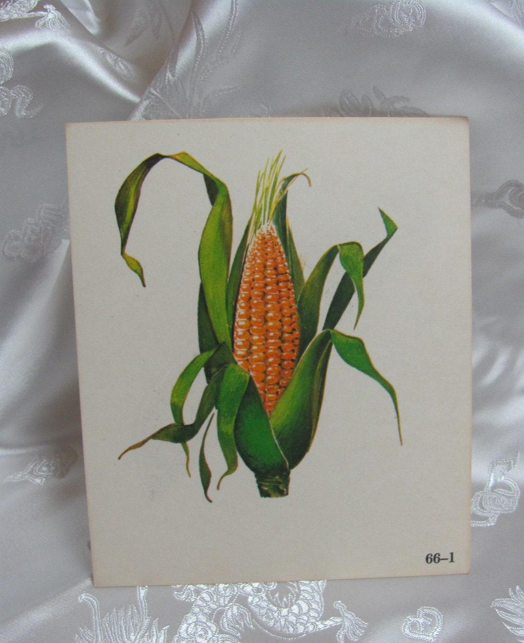 Vintage Illustrated School Flash Card - Circa 1966 Phonetics 2 Sided ...