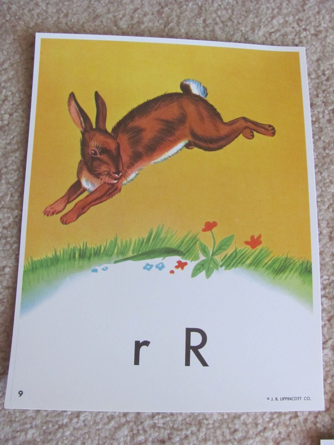 Large Colorful School Flash Card Poster Print Reproduction - Etsy