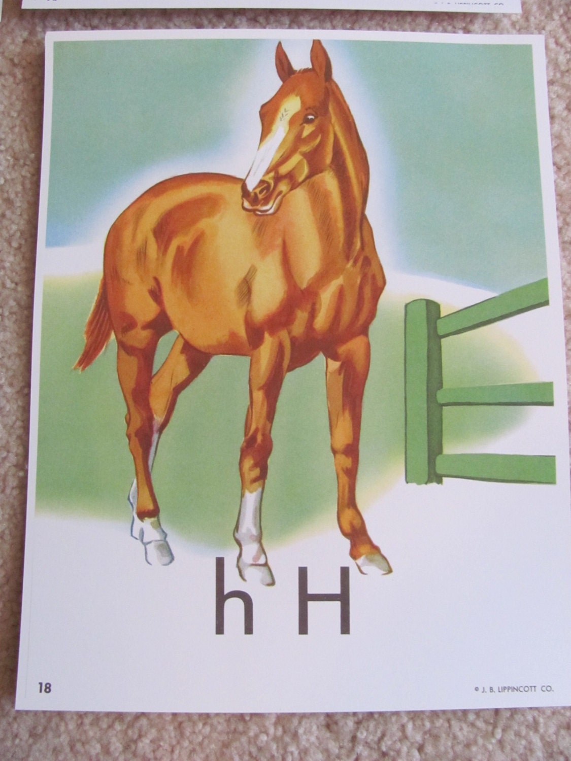 Large Alphabet Phonics School Flash Card Poster Reproduction Print ...