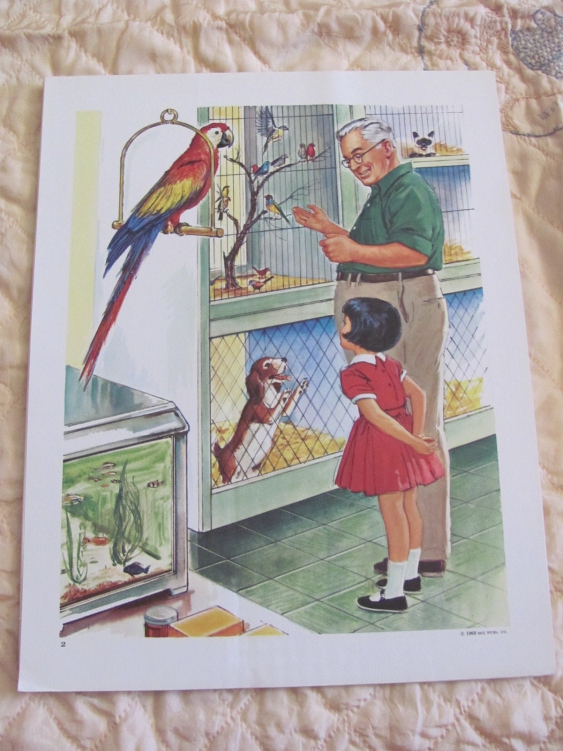 Original Vintage School Classroom Poster Print - Circa 1968 - Pet Shop ...