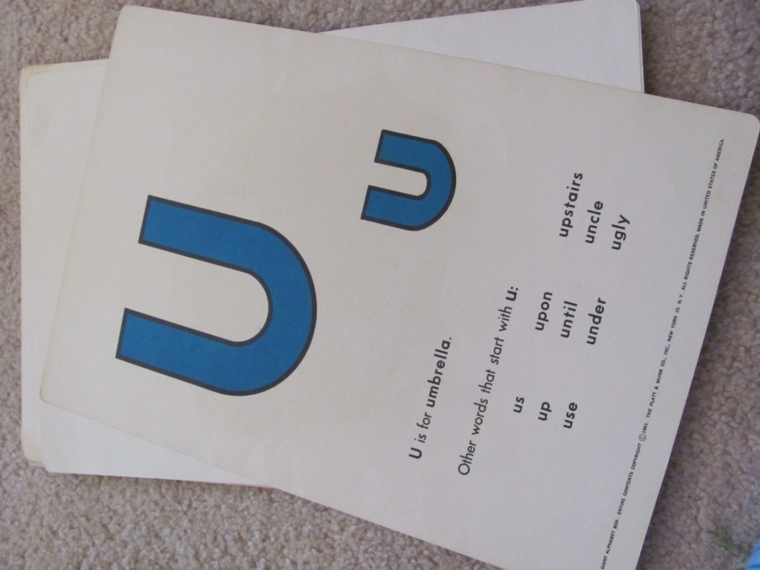 Large Illustrated School Flash Card Poster - Alphabet Letter - U ...