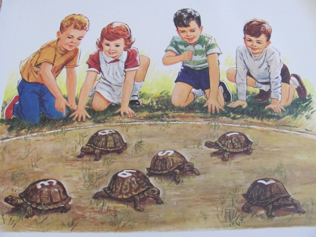 Original Vintage School Classroom Poster Print - Circa 1968 - Turtle ...
