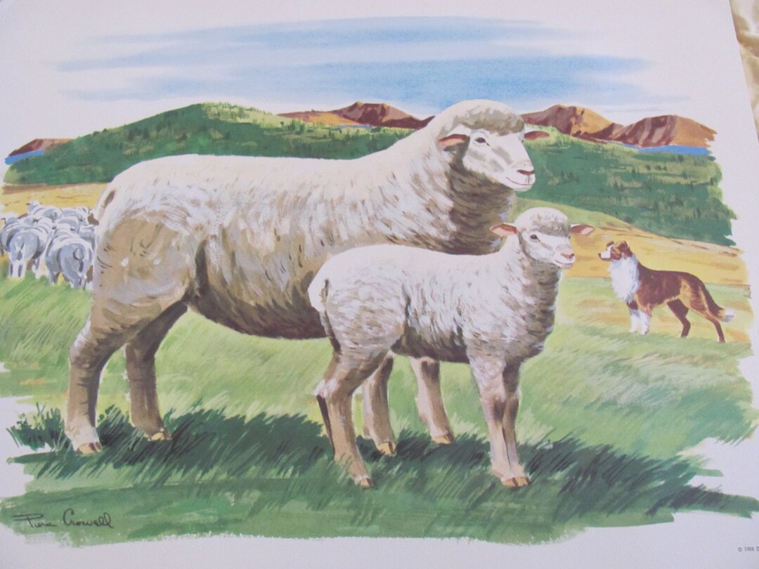 Original Vintage School Classroom Poster Print - Circa 1966 - Farm ...
