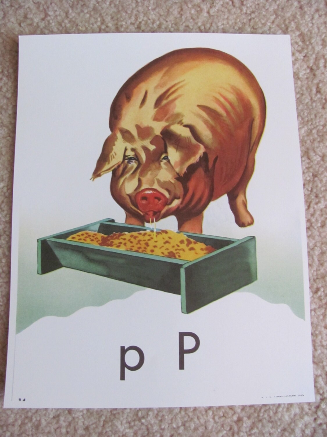 Large Alphabet Phonics School Flash Card Poster Reproduction Print ...