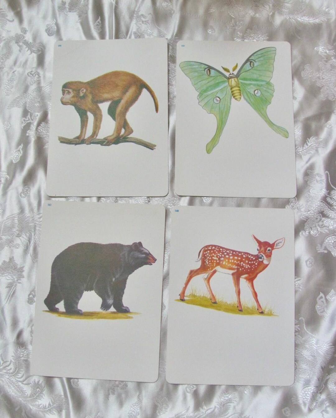 Illustrated School Flash Card - Your Choice - 1966 Phonetics Vintage ...