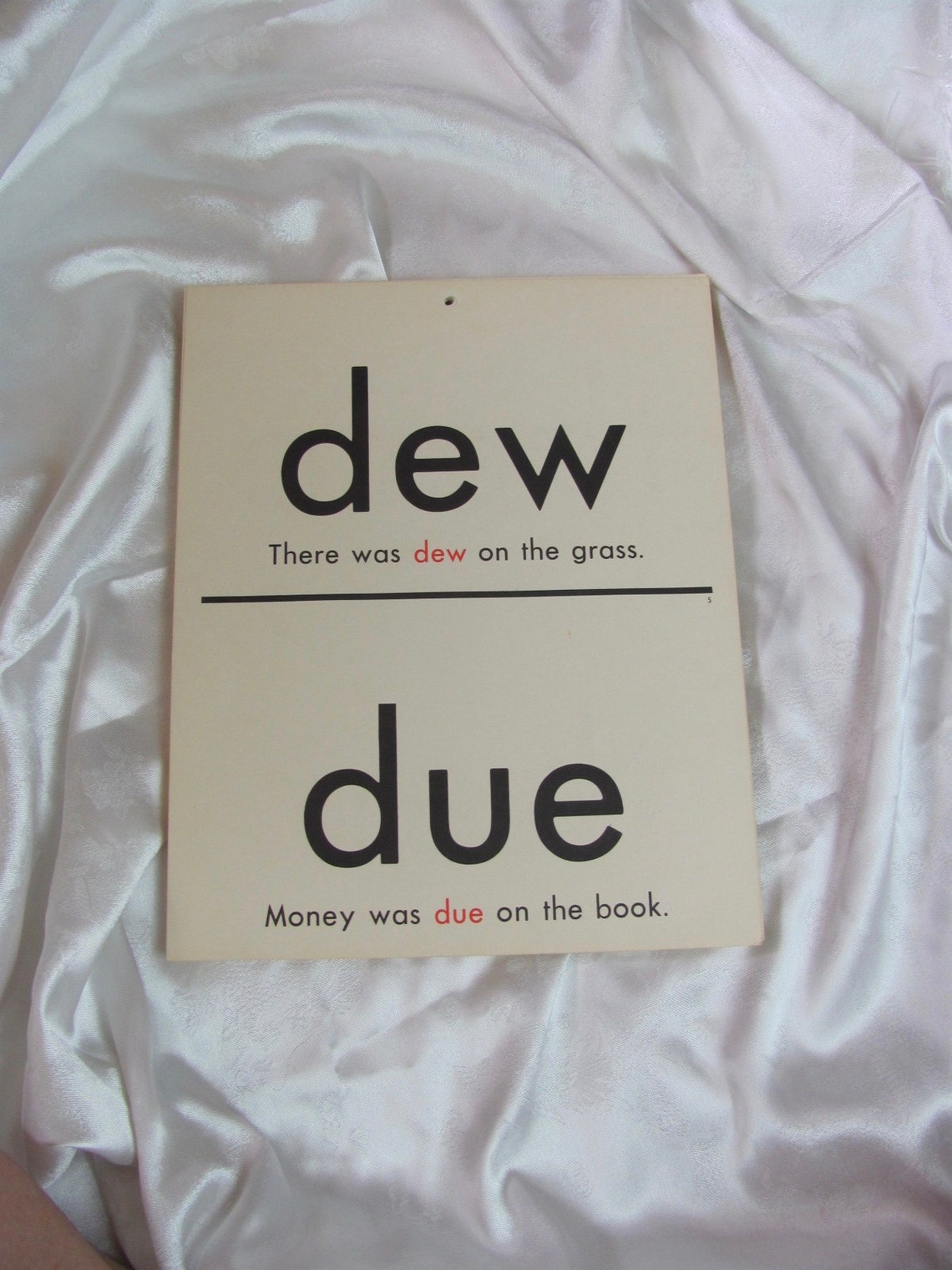 Vintage Homonym Words School Classroom Educational Flash Card 2 Sided ...