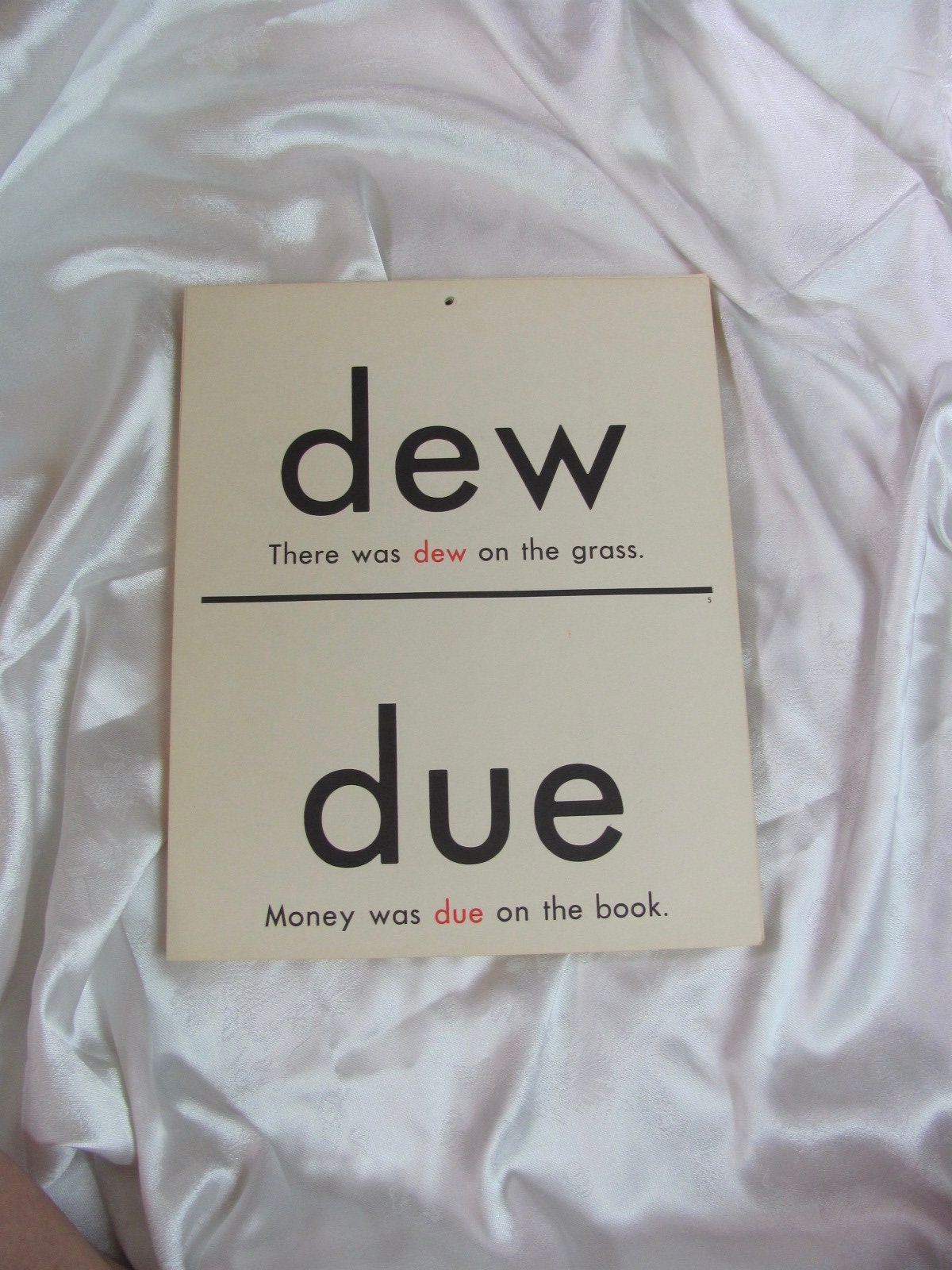 Vintage Homonym Words School Classroom Educational Flash Card 2 Sided ...