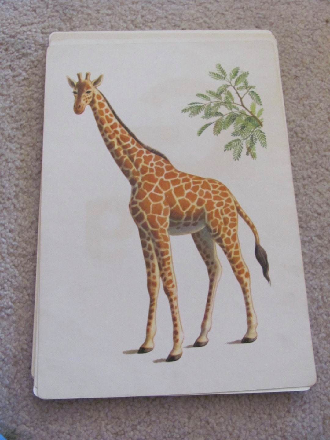 Large Illustrated School Flash Card Poster - Alphabet Letter Phonics ...