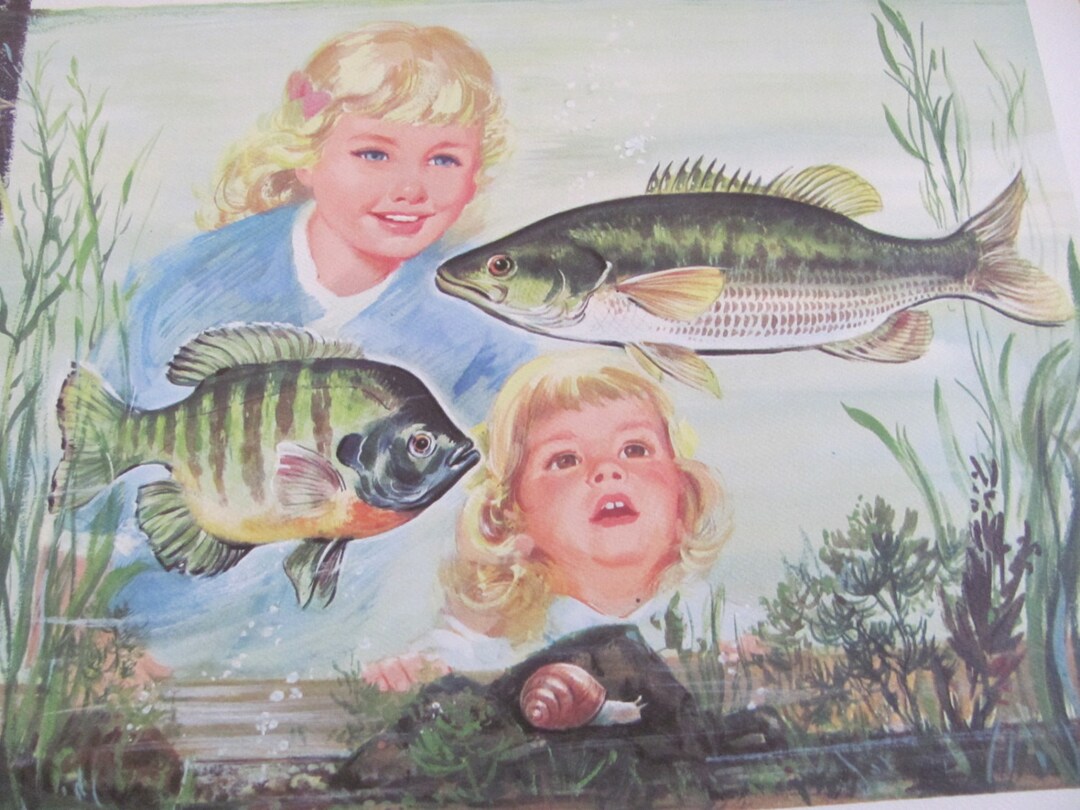 Original Vintage School Classroom Poster Print - Circa 1964 - Fish - 11 ...