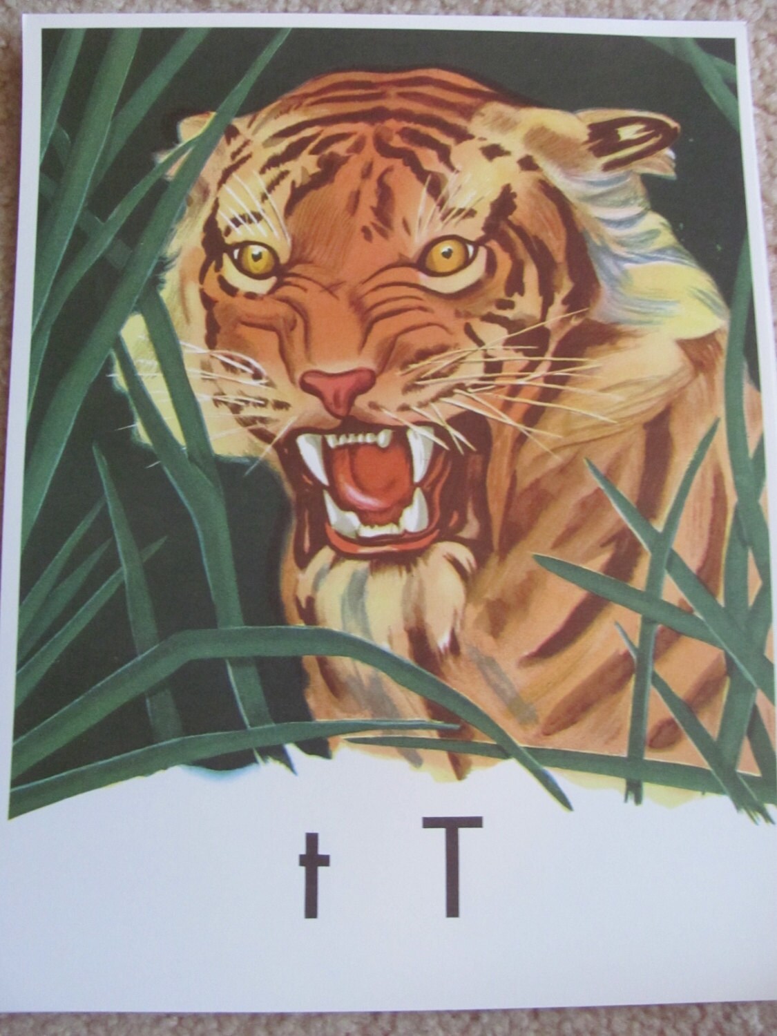 Large Colorful Phonics Alphabet School Flash Card Poster Reproduction ...