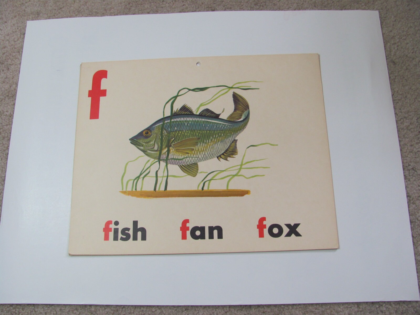 Large Retro School Flash Card Poster - Vowels - Choice of Wheel Fish ...