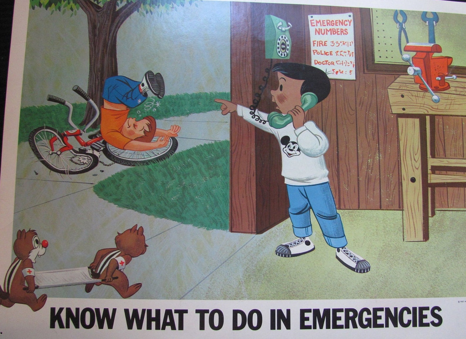 What to Do in Emergencies - Disney Study Print Poster Safety Classroom ...