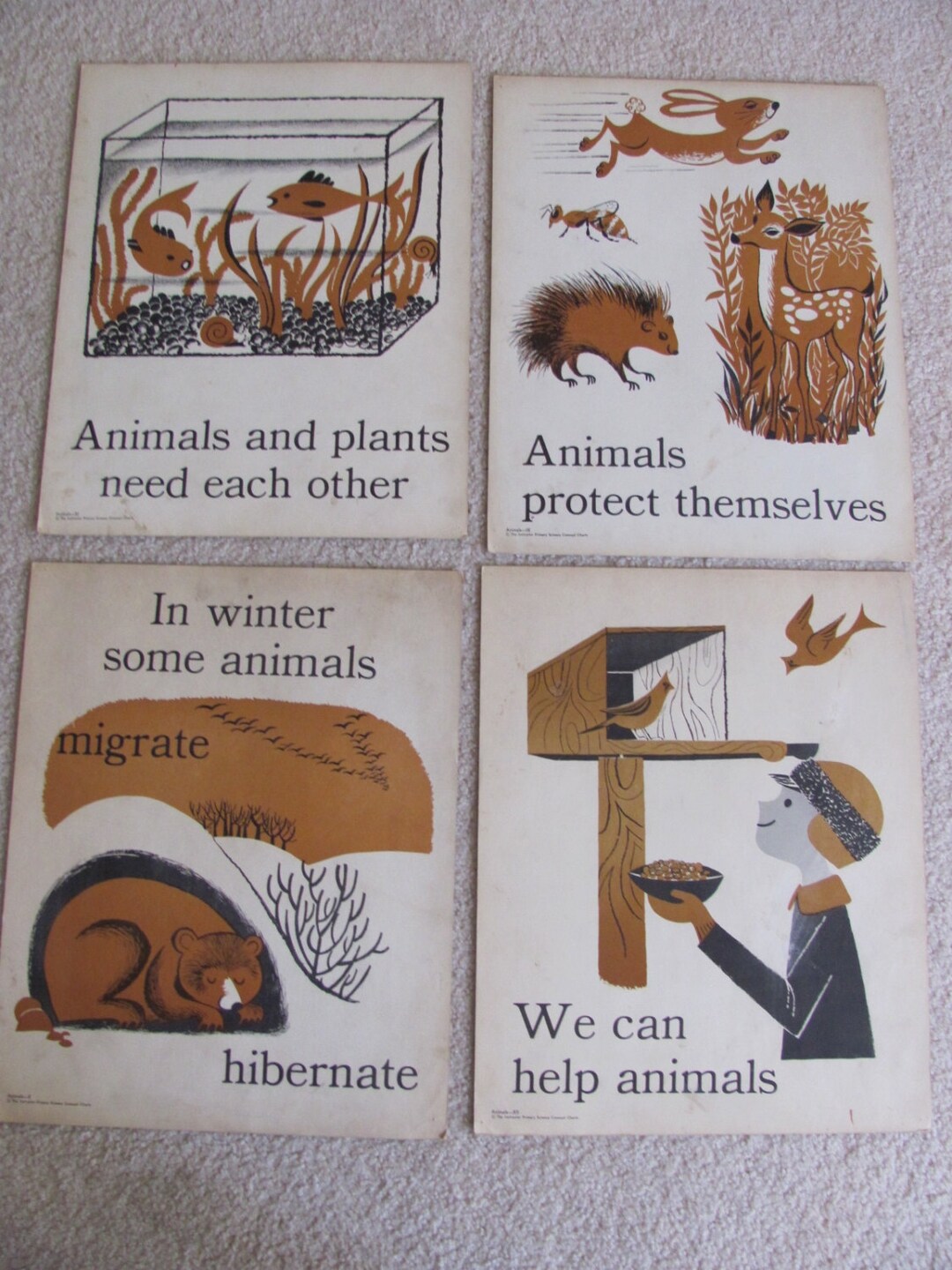 Poster Vintage Illustrated Large Flash Card Science Poster -- 11" X 14 ...