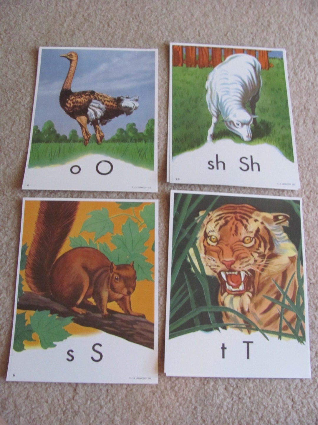 Large Colorful Phonics Alphabet School Flash Card Poster Reproduction ...