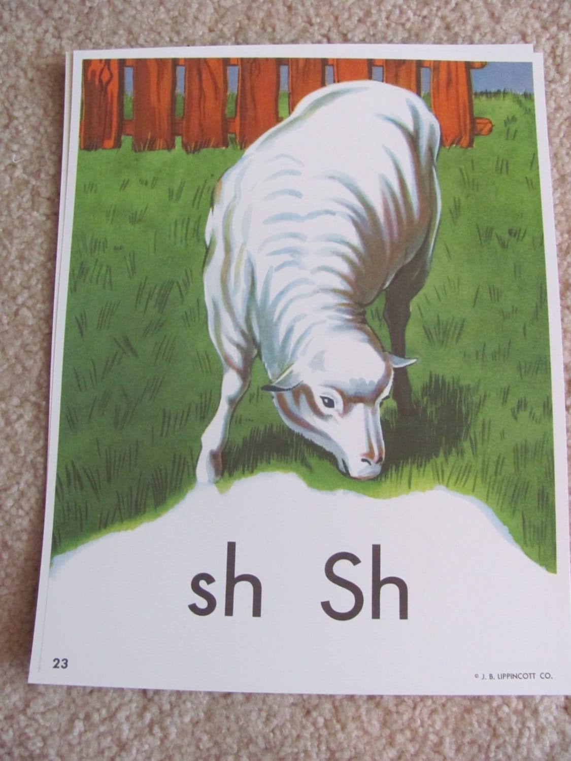 Large Colorful Phonics Alphabet School Flash Card Poster | Etsy