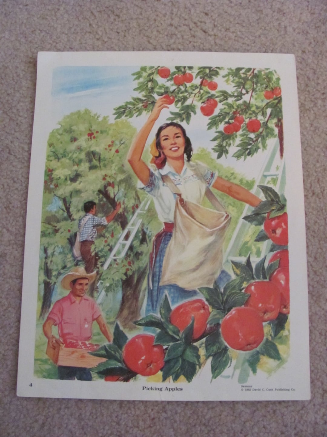 Original Vintage School Classroom Poster Print - Circa 1965 - Picking ...