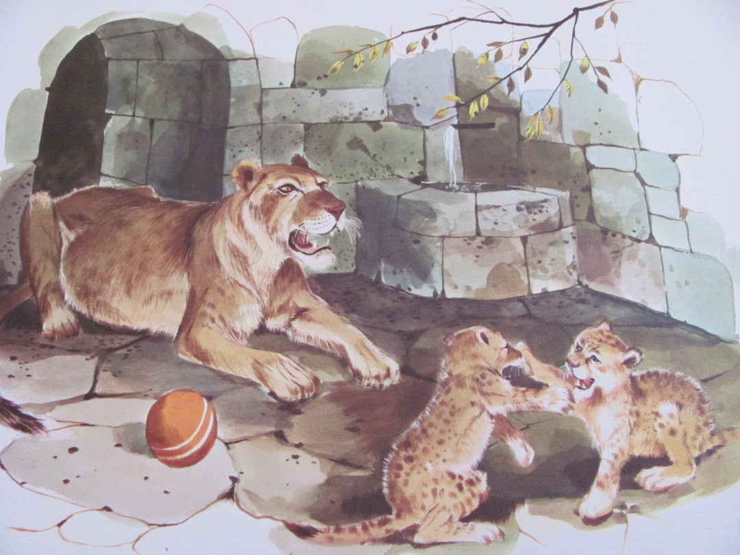 Original Vintage School Classroom Poster Print - Circa 1966 - Lions Zoo ...