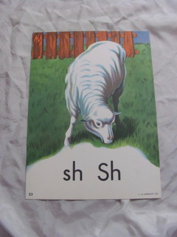 Sheep Flash Card Vintage Large Colorful School Alphabet | Etsy