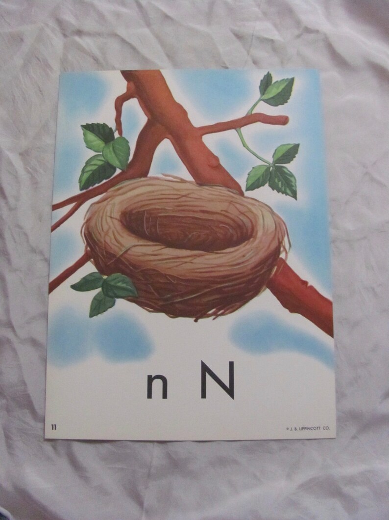 Nest Flash Card Vintage Large Colorful School Alphabet Phonics ...