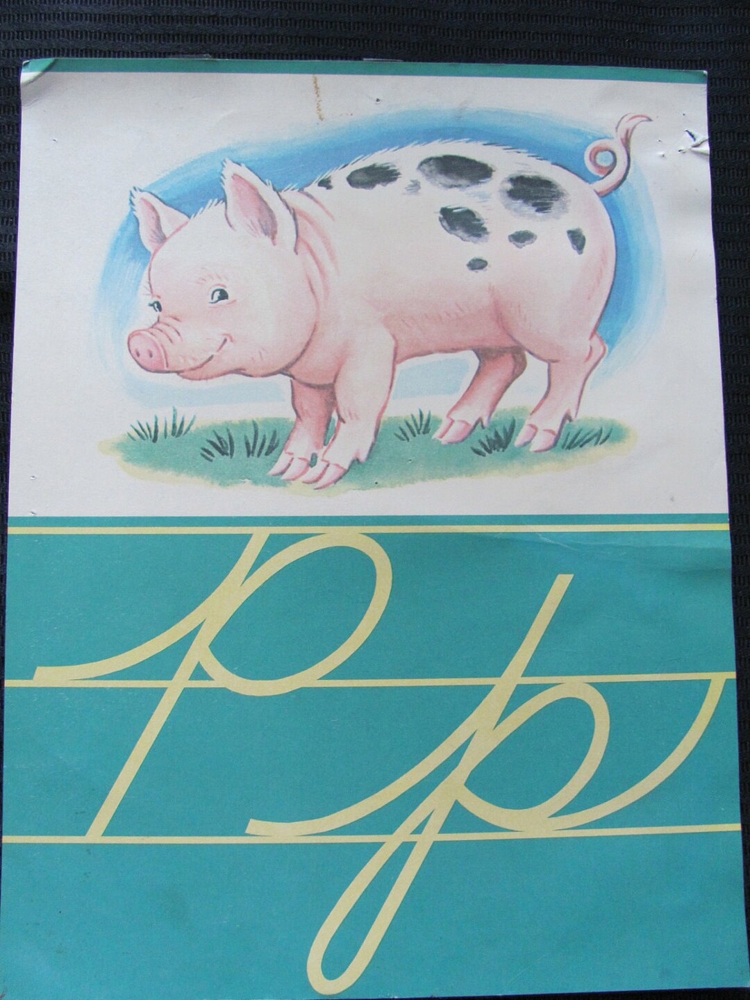 Vintage Picture Flash Card - P Pig // Laminadted Old School Classroom ...