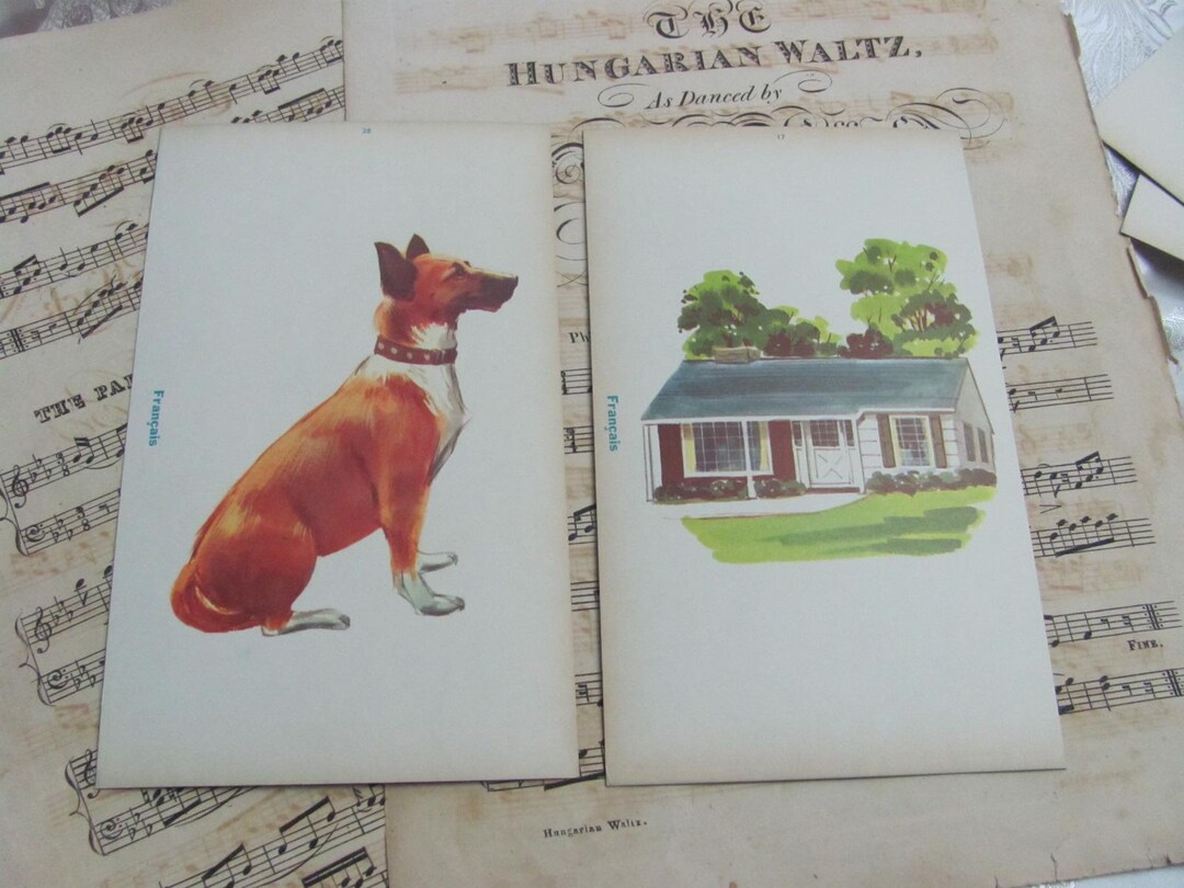 Vintage French Flash Card Illustrated Picture Mid Century Classroom ...