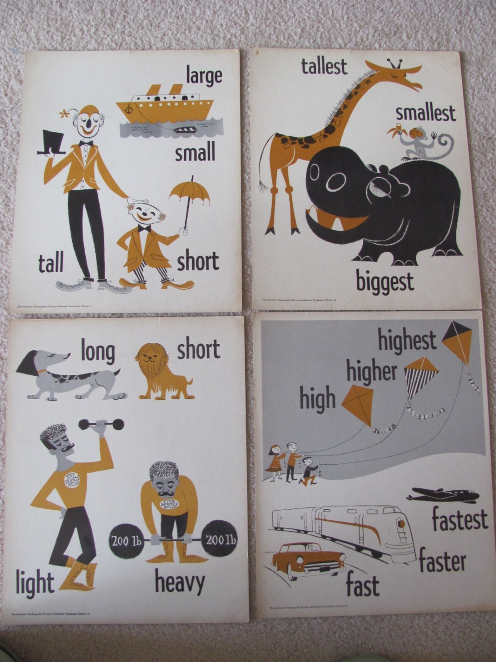 Poster Vintage Large Flash Card Science Poster -- Circa 1950s 11 X 14 ...