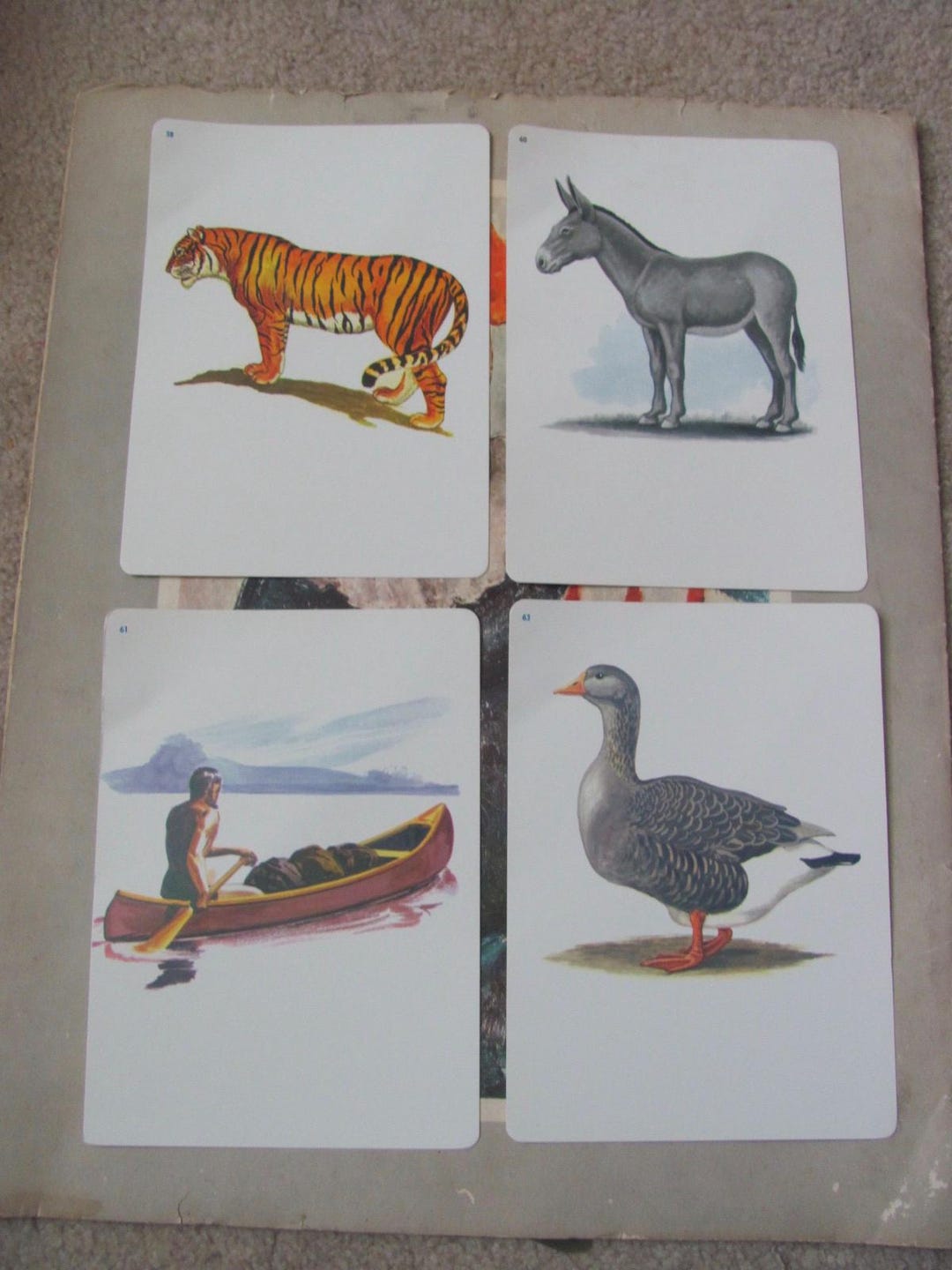 Illustrated School Flash Card - Your Choice - Circa 1966 Phonetics ...