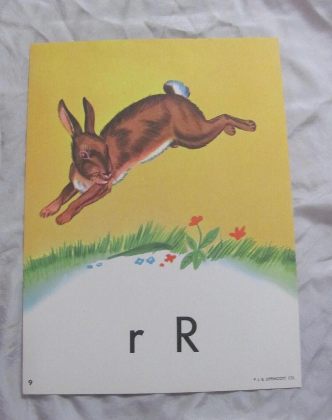 Rabbit Flash Card Vintage Large Colorful School Alphabet Phonics ...