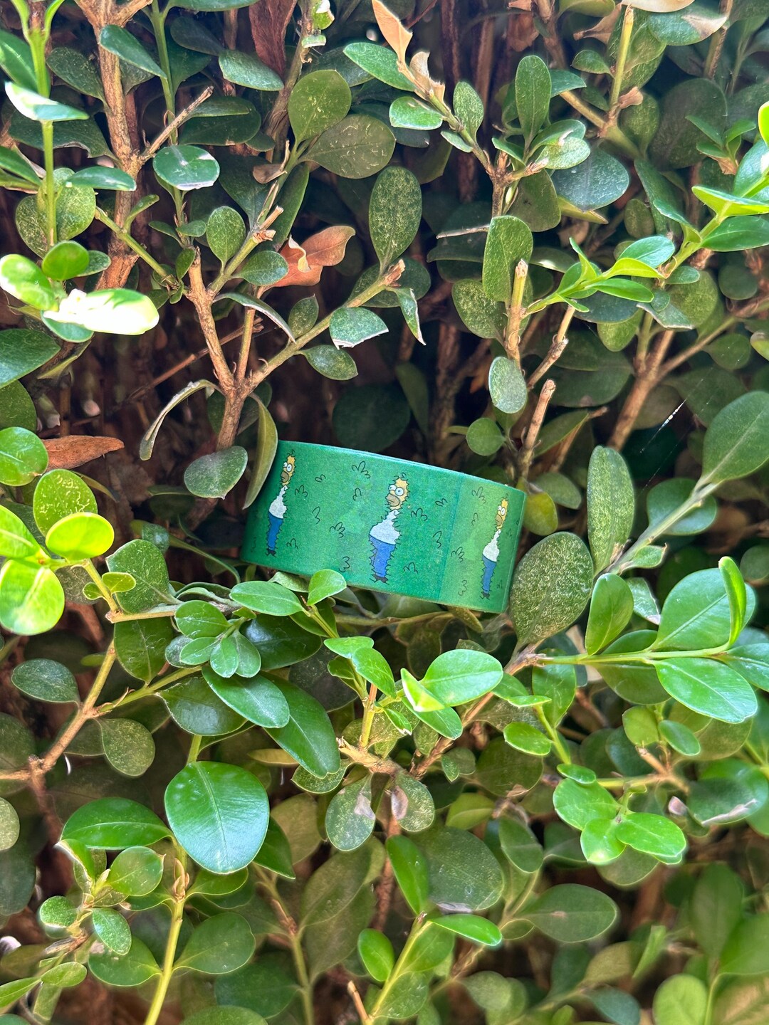 Backing Into Bushes Meme Washi Tape, Washi-tape, Gift Wrapping Tape, - Etsy