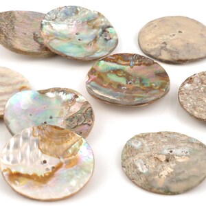 Button-39mm Iridescent Pāua Shell-quantity 1 - Etsy