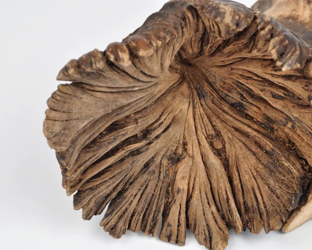 Decorative Wood Flower-tree Ear-beautiful Natural Wood - Etsy