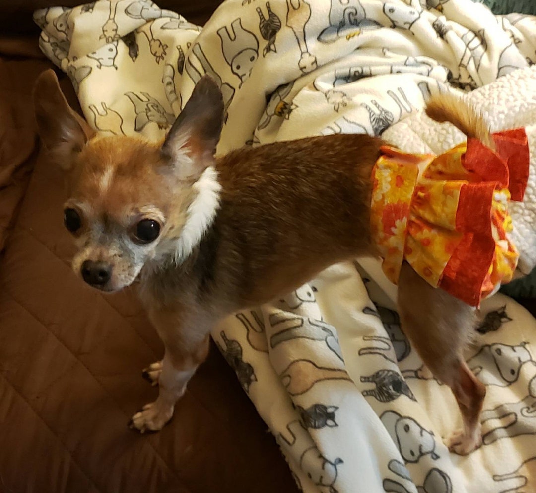 Female Dog Diaper Pet Wrap Skirt Puppy Pants Britches Sizes XXS - XS ...