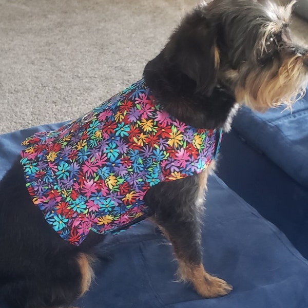 Ruffle Dog Harness - Etsy