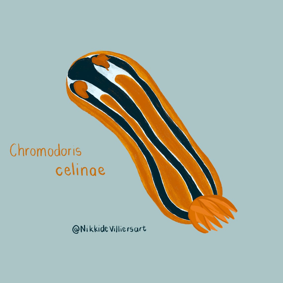 Sea Slug Poster Featuring Colourful Nudibranchs - Etsy