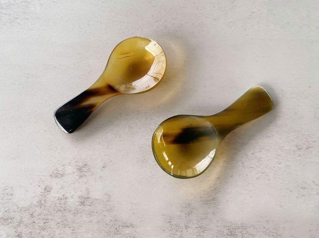 Handcrafted Mini Horn Spoon, Spice and Dry Scoop, Eco-friendly, Family ...