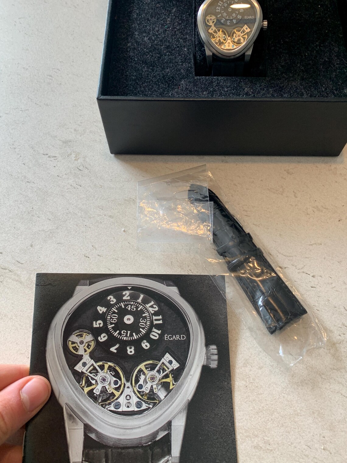 Egard Quantus V3 Mayan Watch Limited Edition W/ Box & Papers – Rare ...