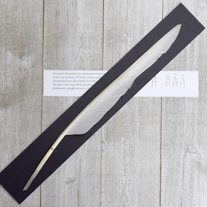 Hand-cut Goose Feather Quill for Calligraphy and Medieval Writing - Etsy