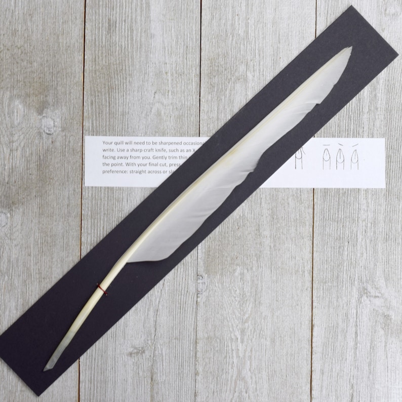 Hand-cut Goose Feather Quill for Calligraphy and Medieval Writing - Etsy
