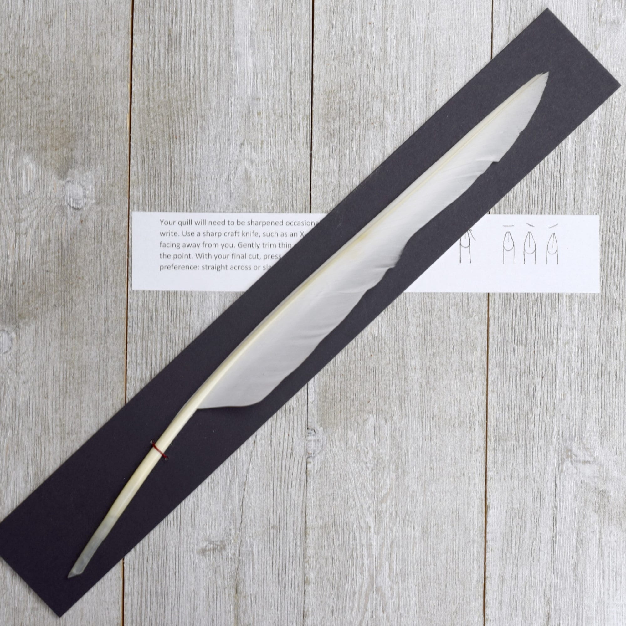 Hand-cut Goose Feather Quill for Calligraphy and Medieval Writing - Etsy