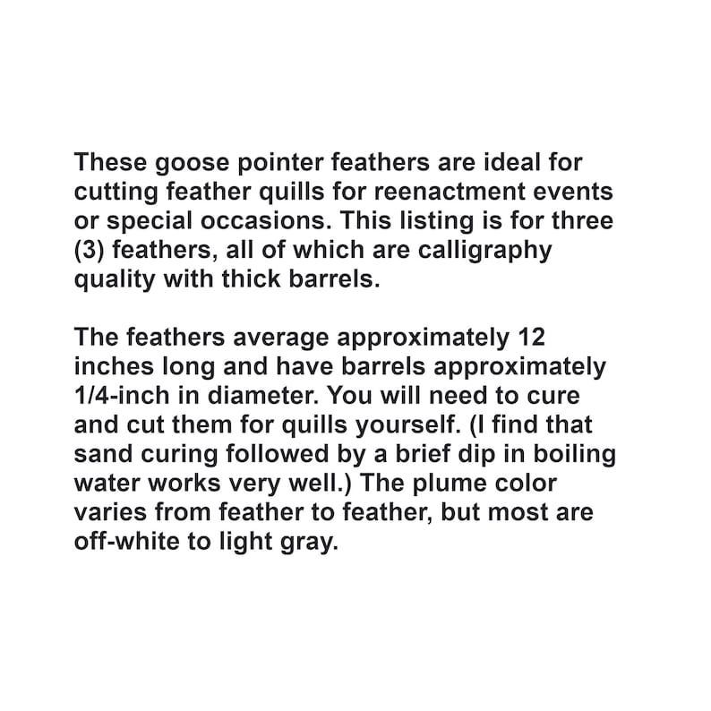Goose Pointer Feathers for Quill Pens, Calligraphy Quality With Thick ...
