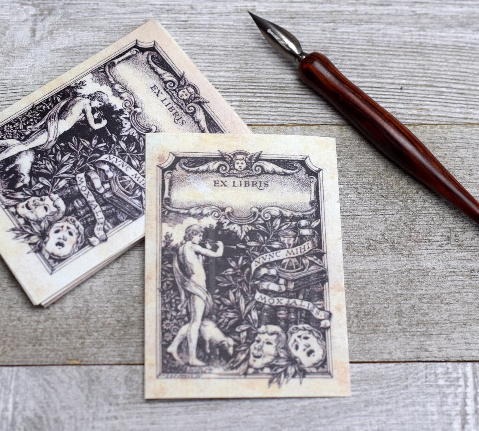 Theatre Bookplate: Set of 24 Self-Adhesive Ex Libris Book | Etsy