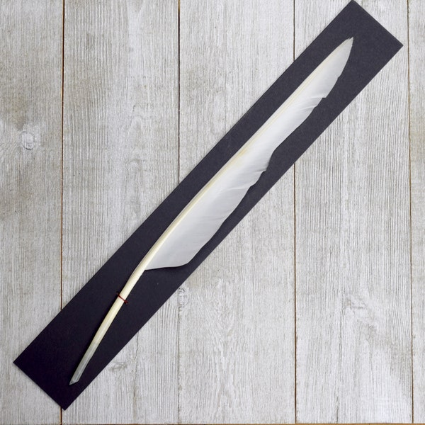 Writing Quill - Etsy