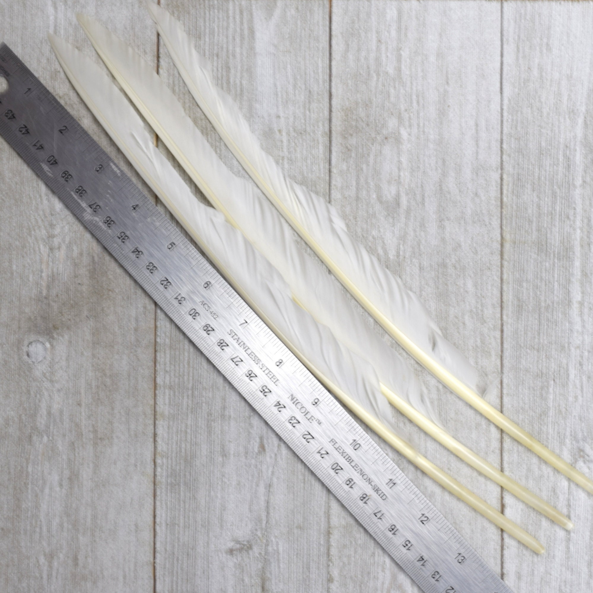 Goose Pointer Feathers for Quill Pens, Calligraphy Quality With Thick ...