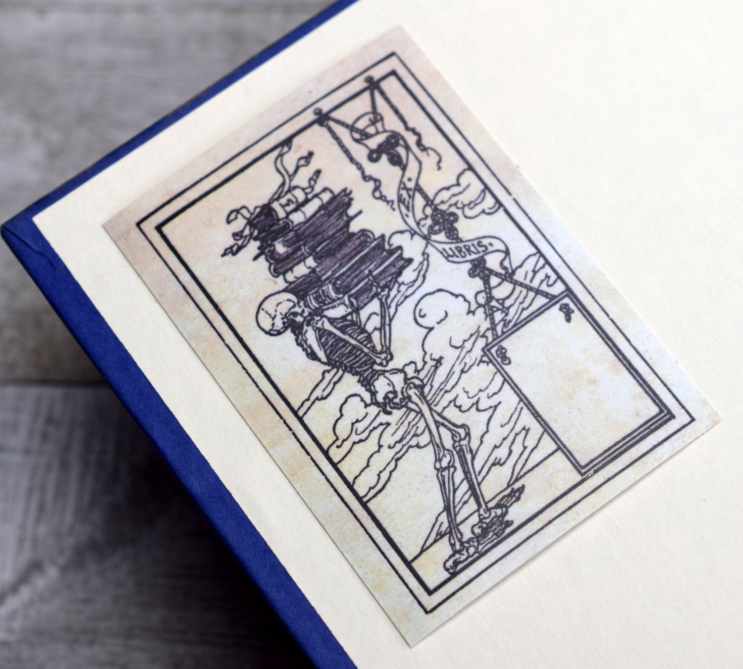 Skeleton Bookplate: Set of 24 Self-adhesive Ex Libris Book | Etsy