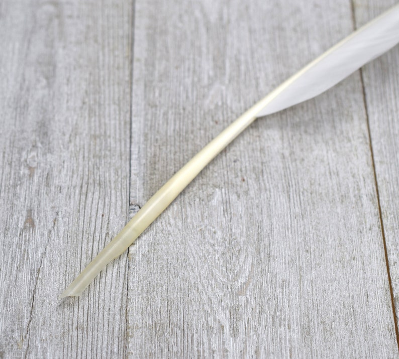 Hand-Cut Goose Feather Quill for Calligraphy and Medieval | Etsy