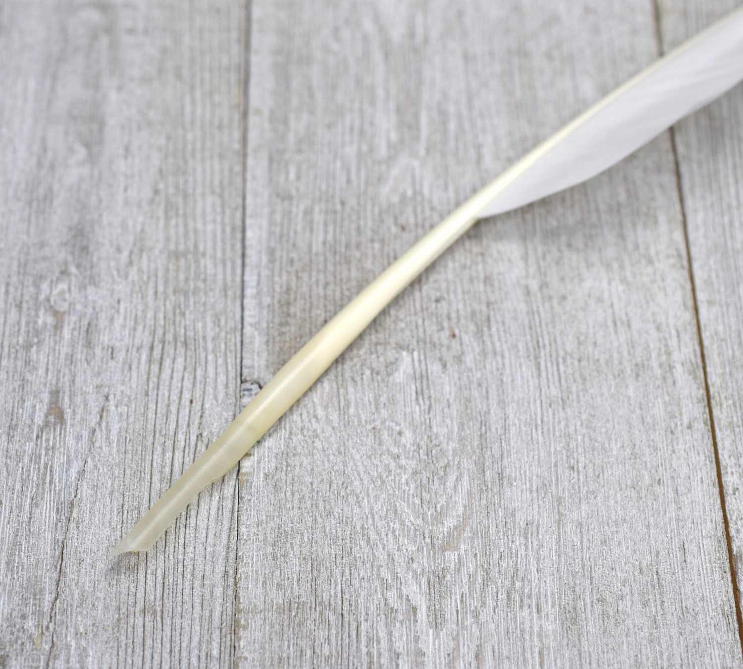 Hand-Cut Goose Feather Quill for Calligraphy and Medieval | Etsy