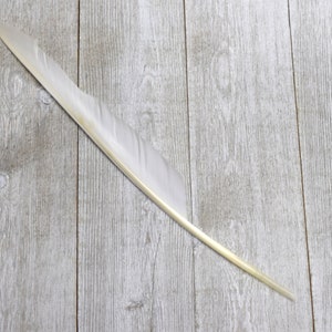 Hand-cut Goose Feather Quill for Calligraphy and Medieval Writing - Etsy