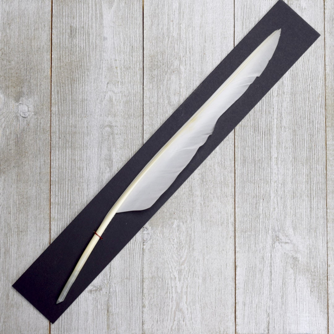 Hand-cut Goose Feather Quill for Calligraphy and Medieval Writing - Etsy