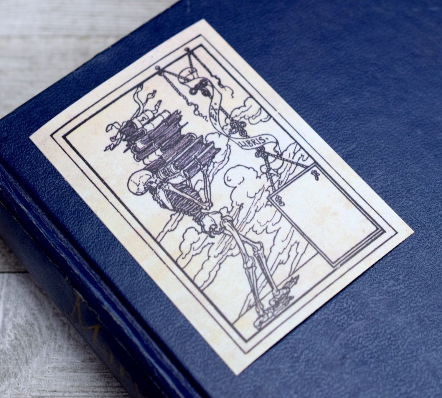 Skeleton Bookplate: Set of 24 Self-adhesive Ex Libris Book | Etsy
